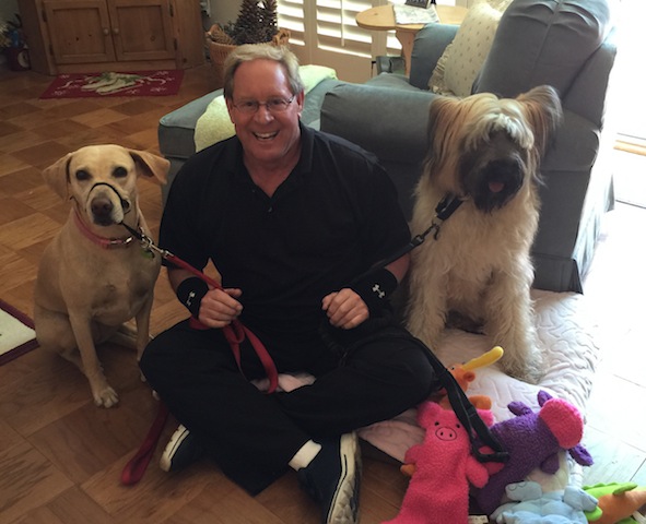 Dog Training and Behavior Modification in Tokyo, Japan | Dog Remedy ...